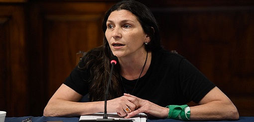 Macha: “Pretendemos incluir a todas las fuerzas que integran el FdT ...