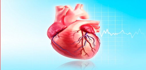 Como cuidar el corazón durante los partidos de la Selección Argentina ...