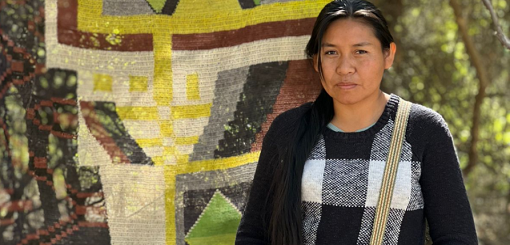 Mujer artista wichí es premiada en el Salón Nacional de las Artes ...
