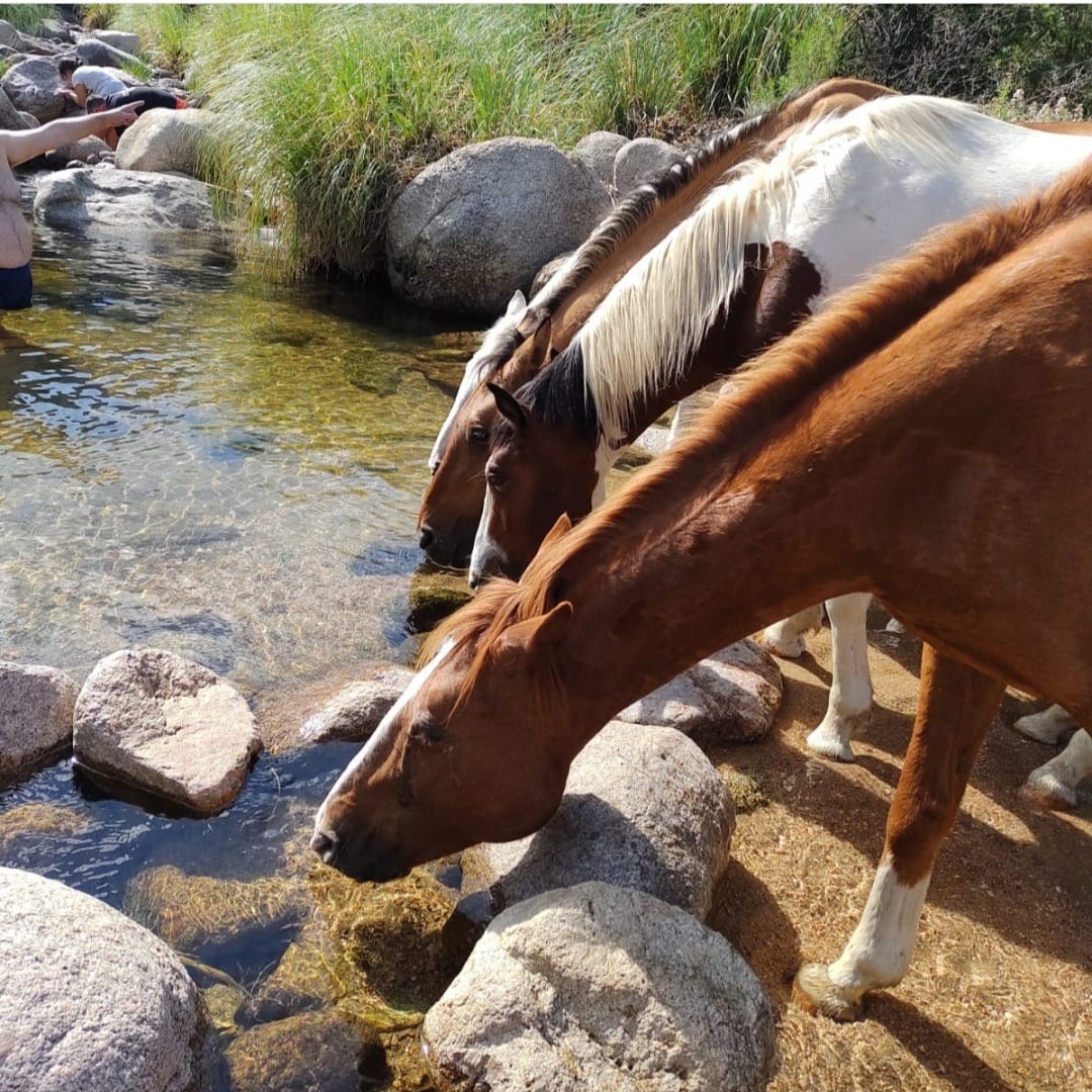 Recorrer el Dique Piscu Yaco a caballo con una vista increíble – Radio ...